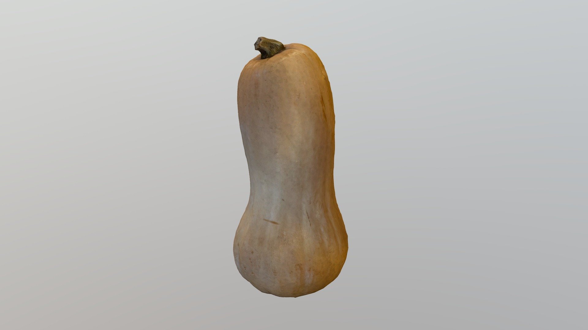 Butternut Squash - Buy Royalty Free 3D model by Studious Studios ...