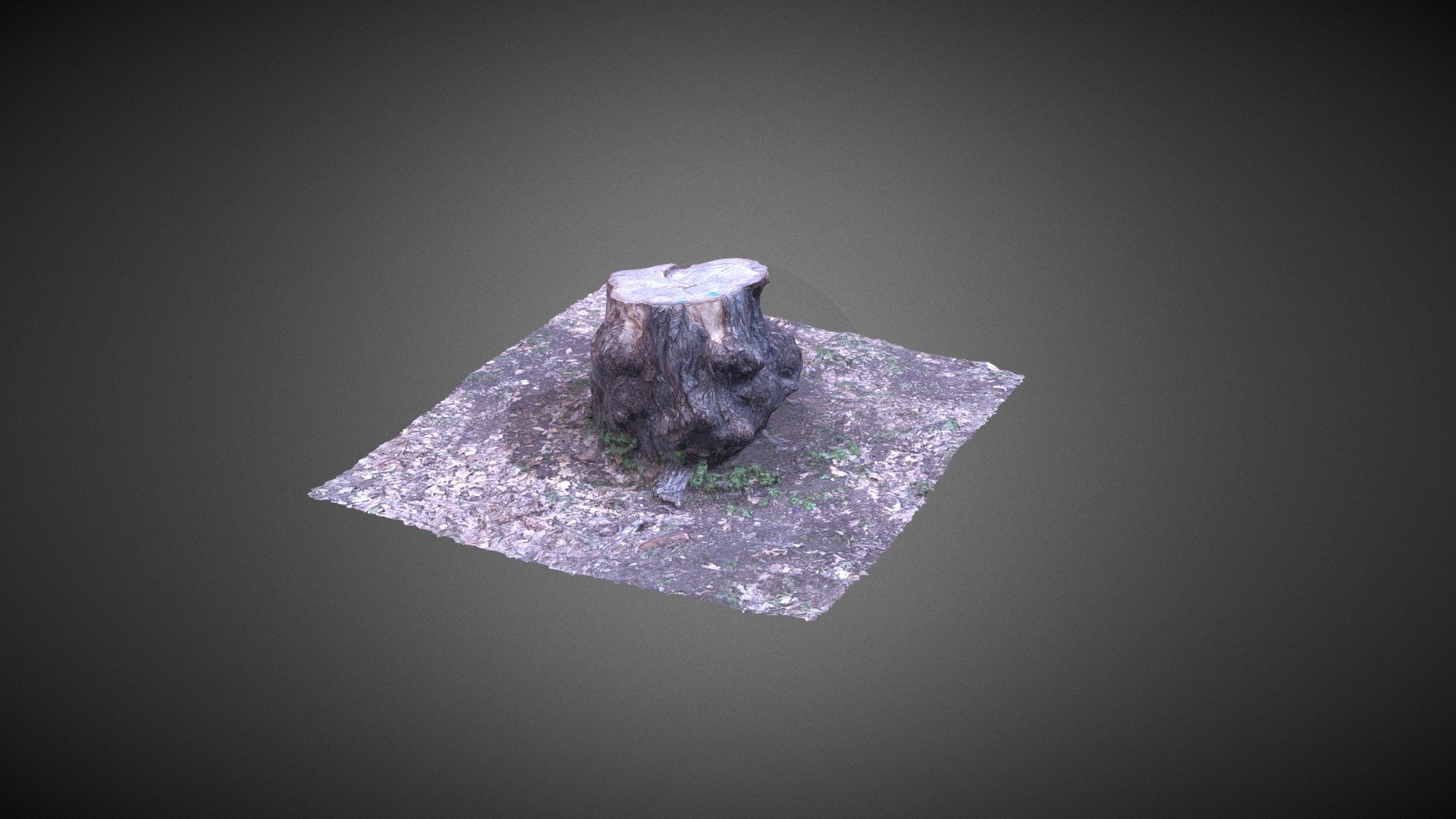 Stump - Download Free 3D model by Anastasia.Borisenko [a24312e] - Sketchfab