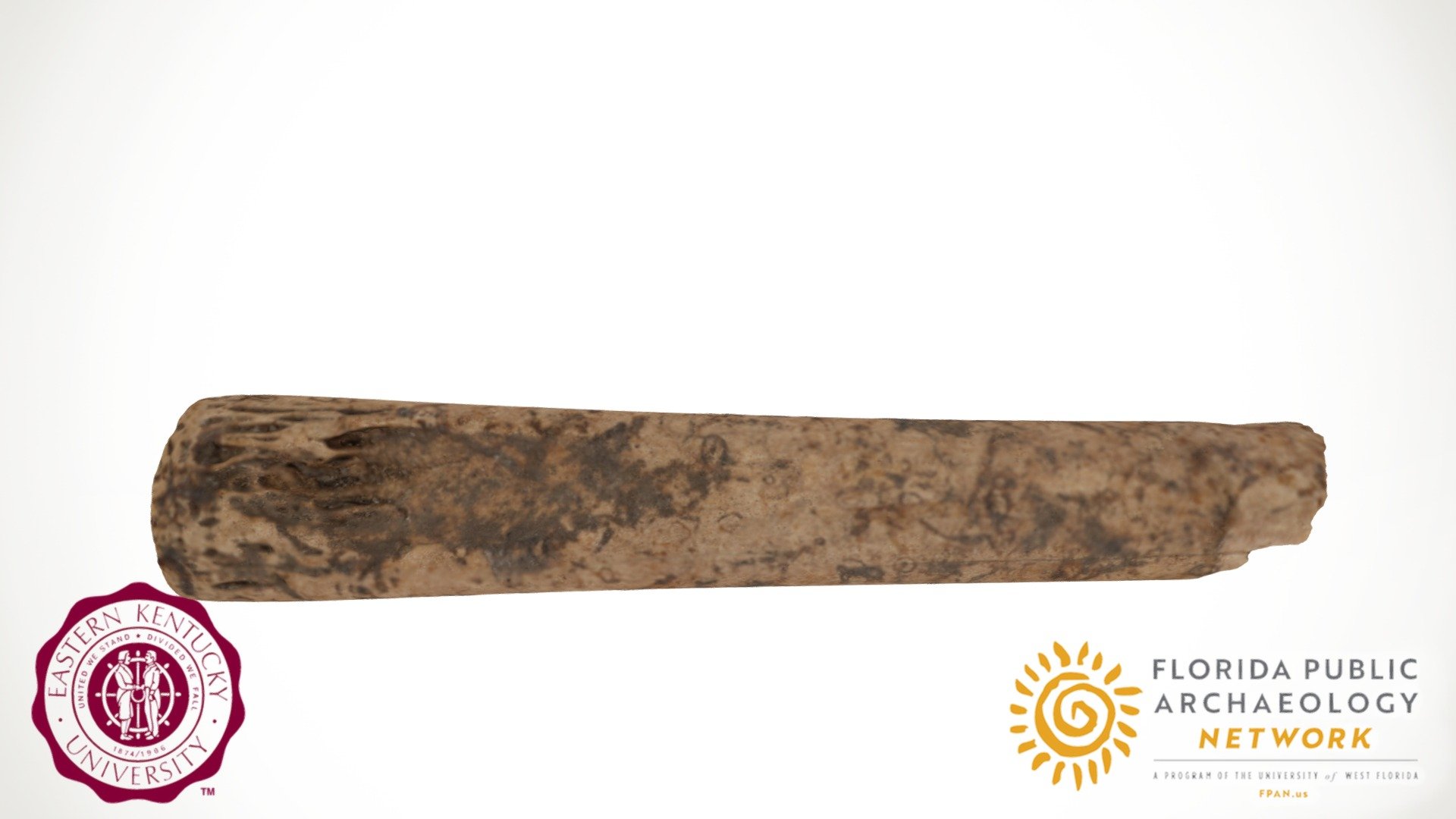 Tomoka Bone Pin End - 3D model by Florida Public Archaeology Network ...