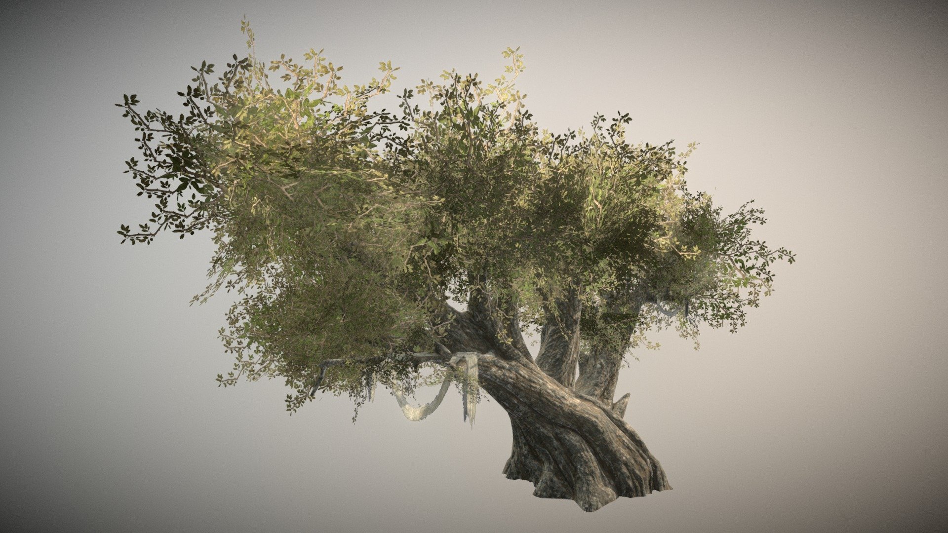 Tree - 3D model by Ronny (@hyotora) [a24fdc8] - Sketchfab