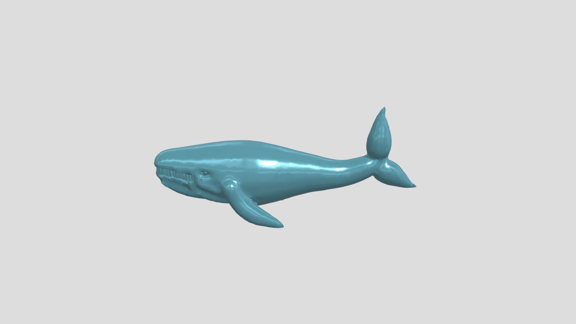 JVG Walvis/Whale by Jasmien Tuyaerts - Download Free 3D model by ...