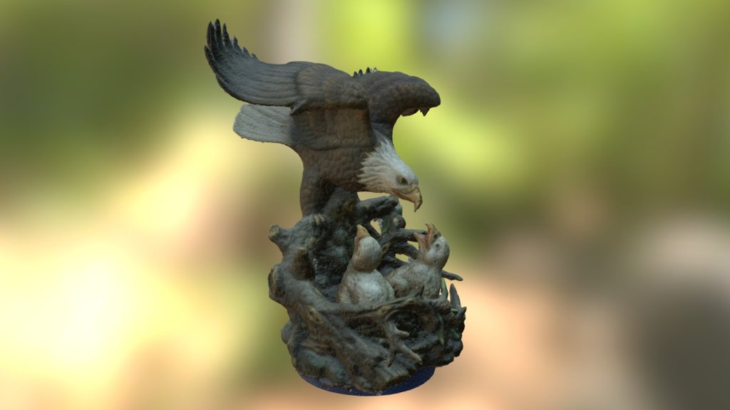 Eagle Photogrammetry HP - 3D model by Next Gen Imaging (@nextgenimaging ...