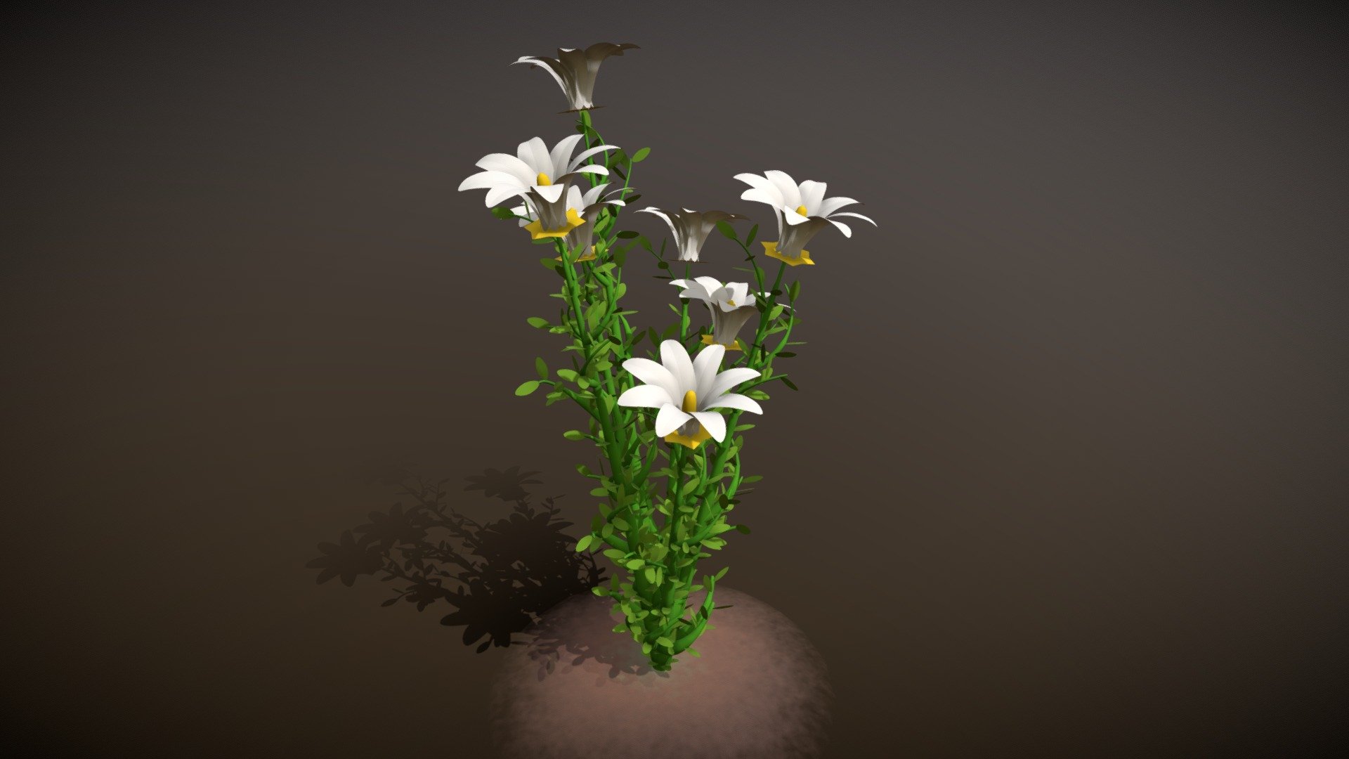 Lily - Download Free 3D model by SCADL & Co (@scadl) [a25a10a] - Sketchfab