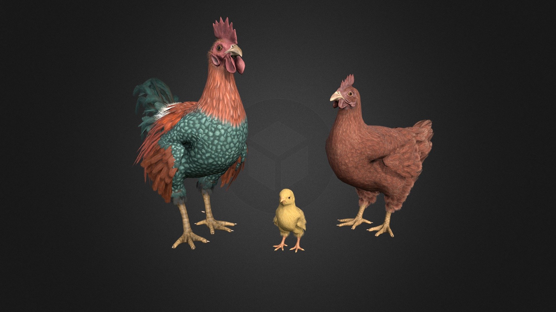 Pack Of Chickens - Buy Royalty Free 3D model by Rifat3D [a260c3d ...