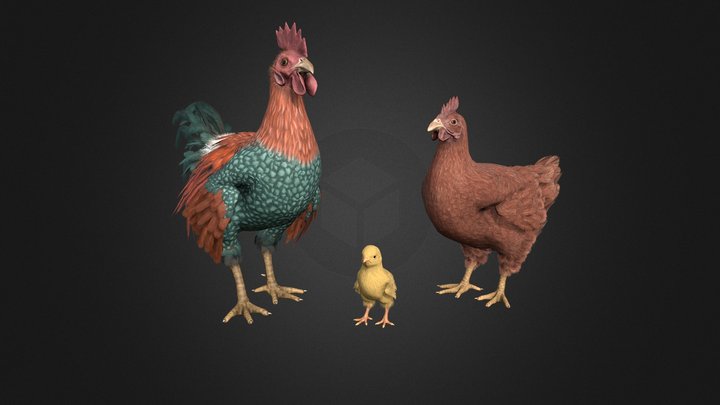 Chicken 3D models - Sketchfab
