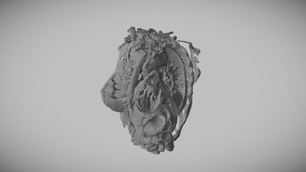 Chest - 3D model by Wellness Computational (@wellnesscomputational ...