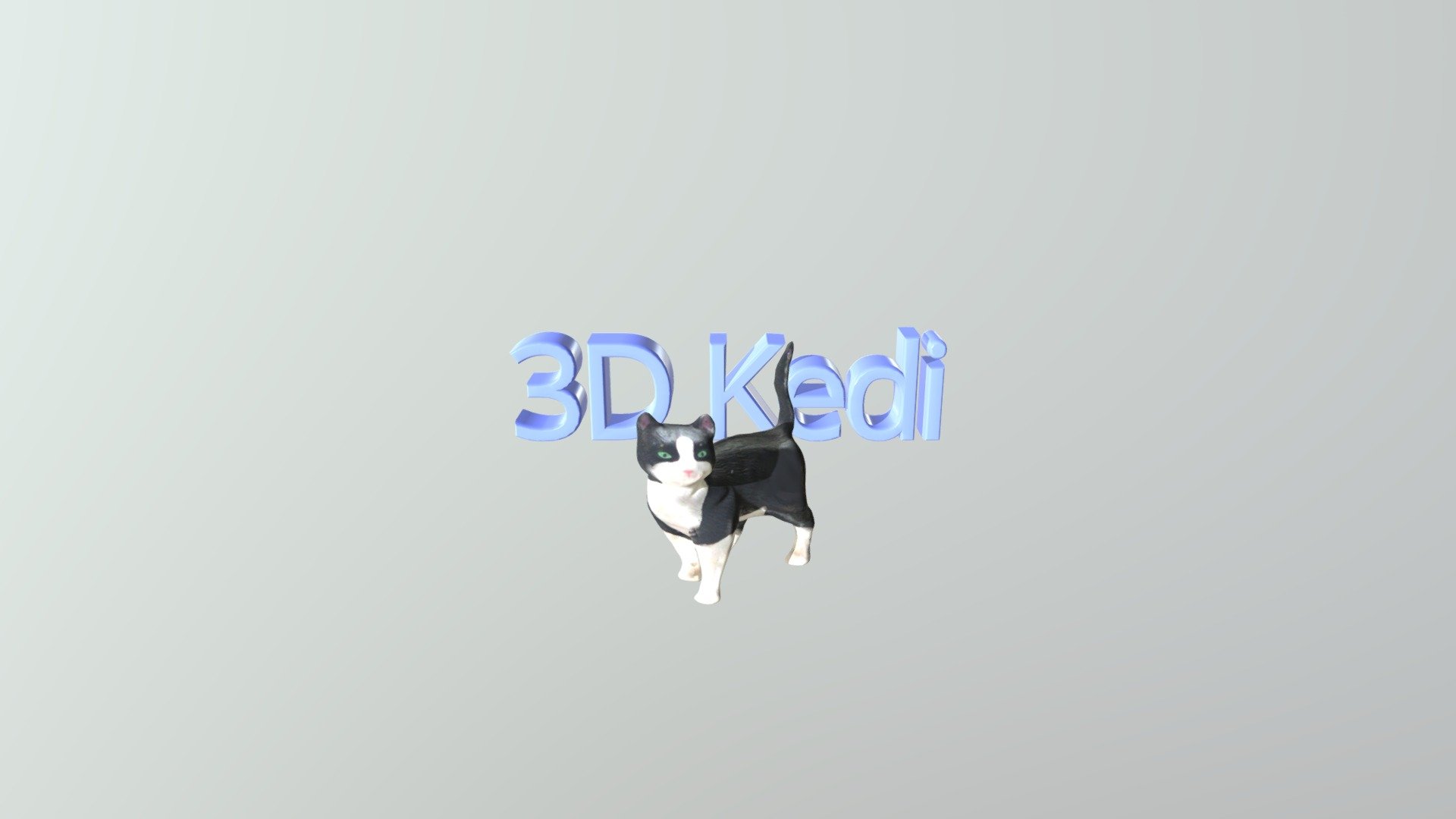 3D Kedi - 3D model by mediacat79 [a261cdb] - Sketchfab