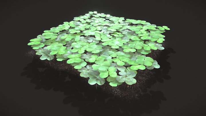 4-leaf-clover 3D models - Sketchfab