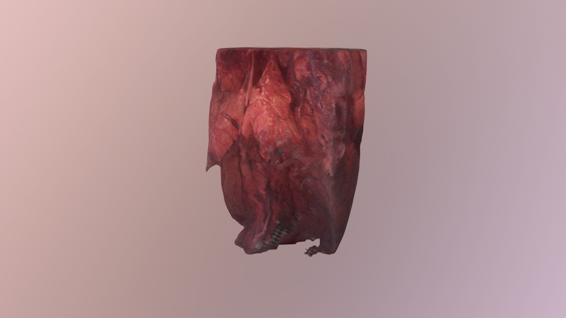 Pig lung - 3D model by Imp (@adrianImp) [a26a62e] - Sketchfab