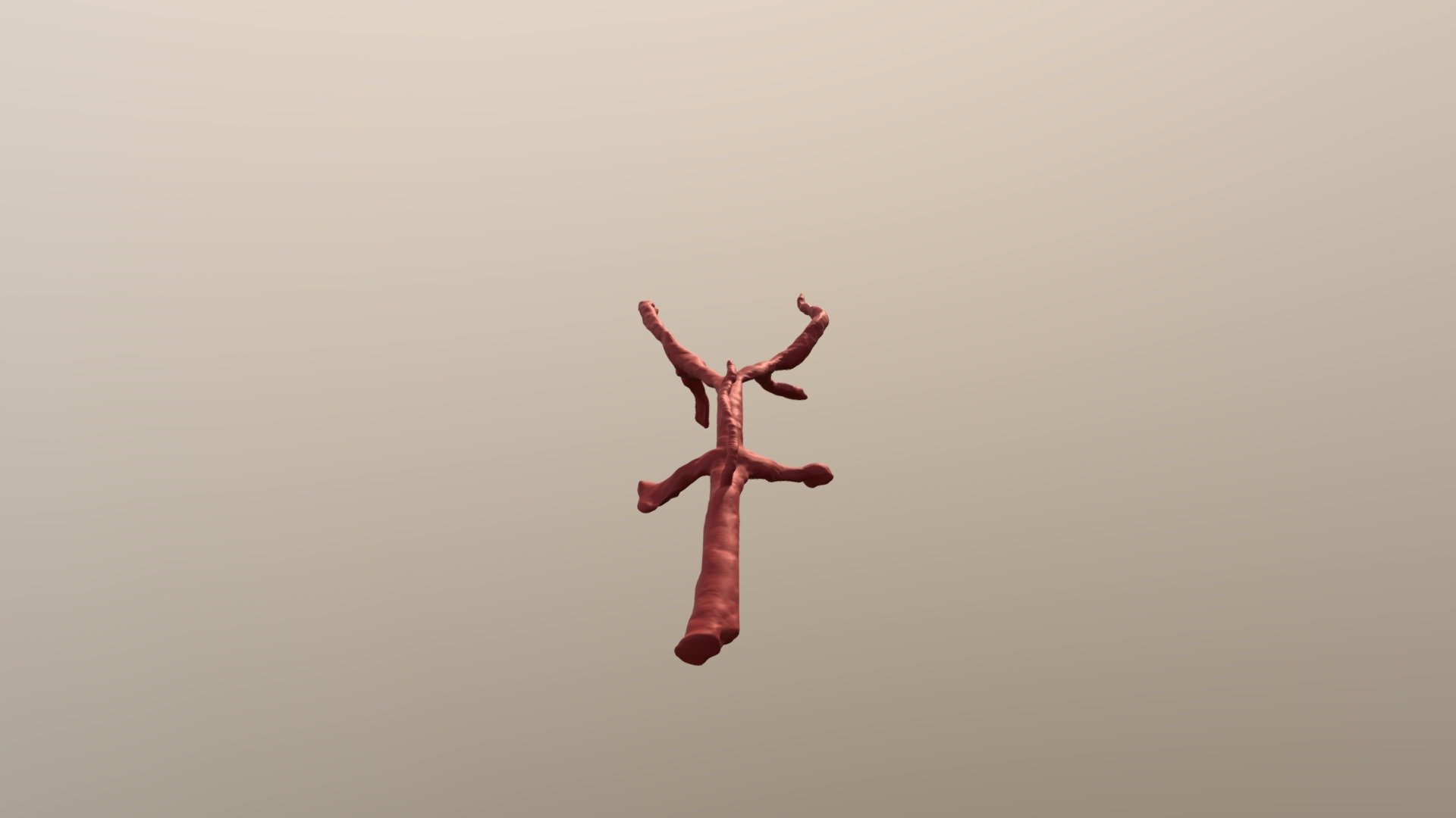 Descending aorta - 3D model by aleyna (@lacroixa) [a26b413] - Sketchfab