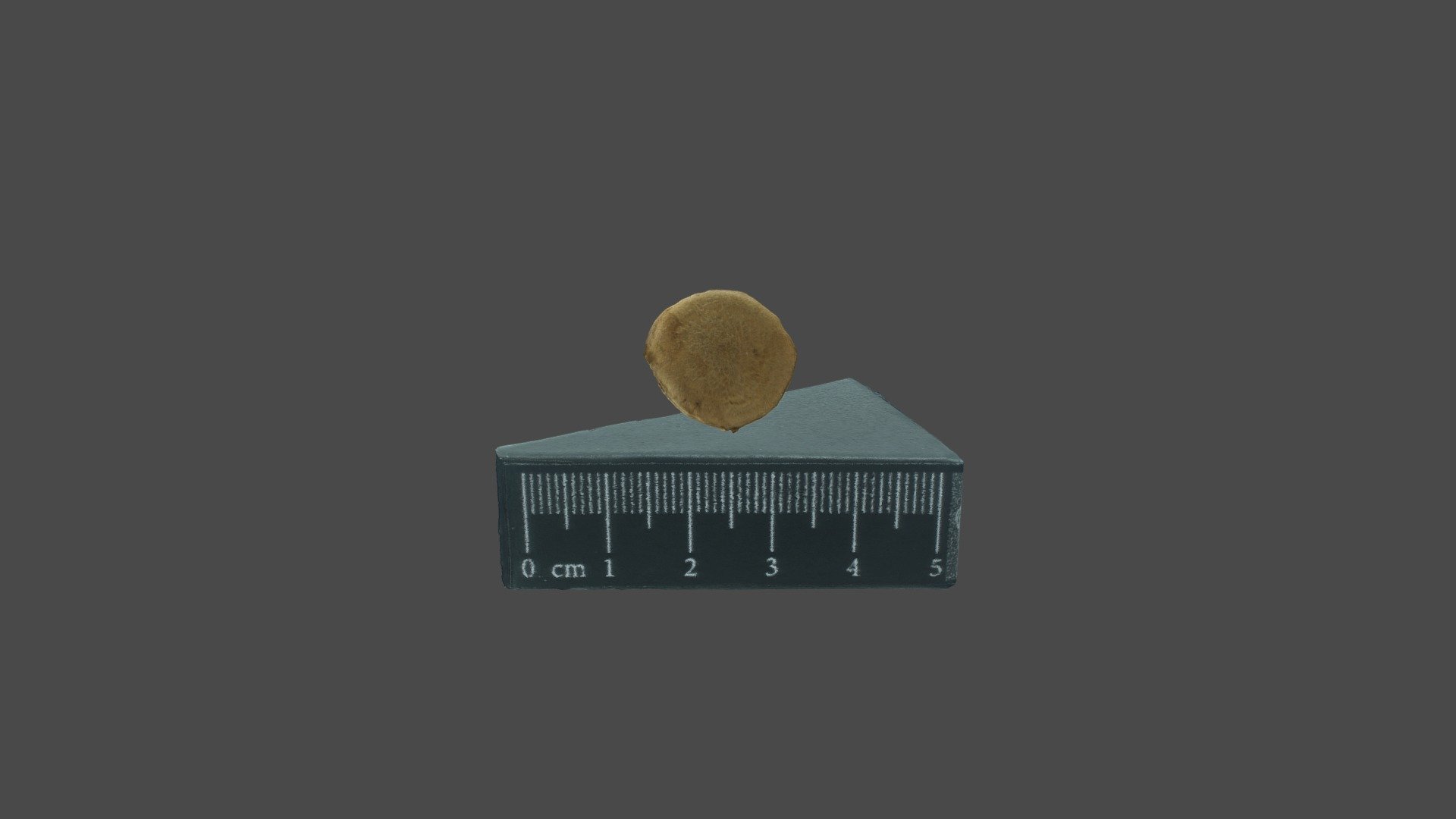 แสลงใจ scale bar - Download Free 3D model by 65201101047 [a26dbb7 ...