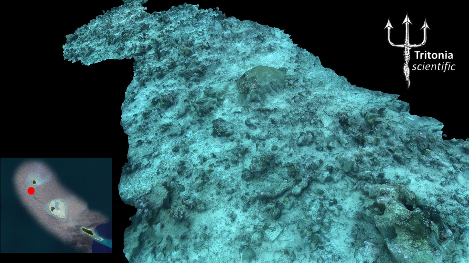 North Brother, Great Chagos Bank, 10m - 3D model by Tritonia ...