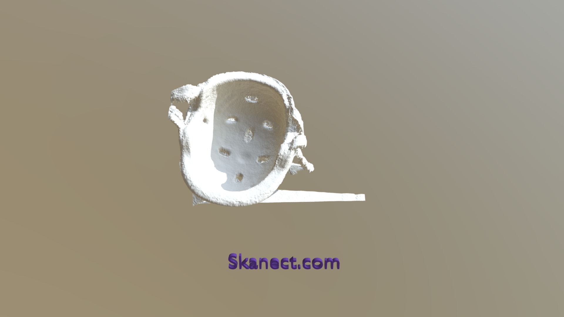 Test_scan_hat - 3D model by rickardcroy [a289de2] - Sketchfab