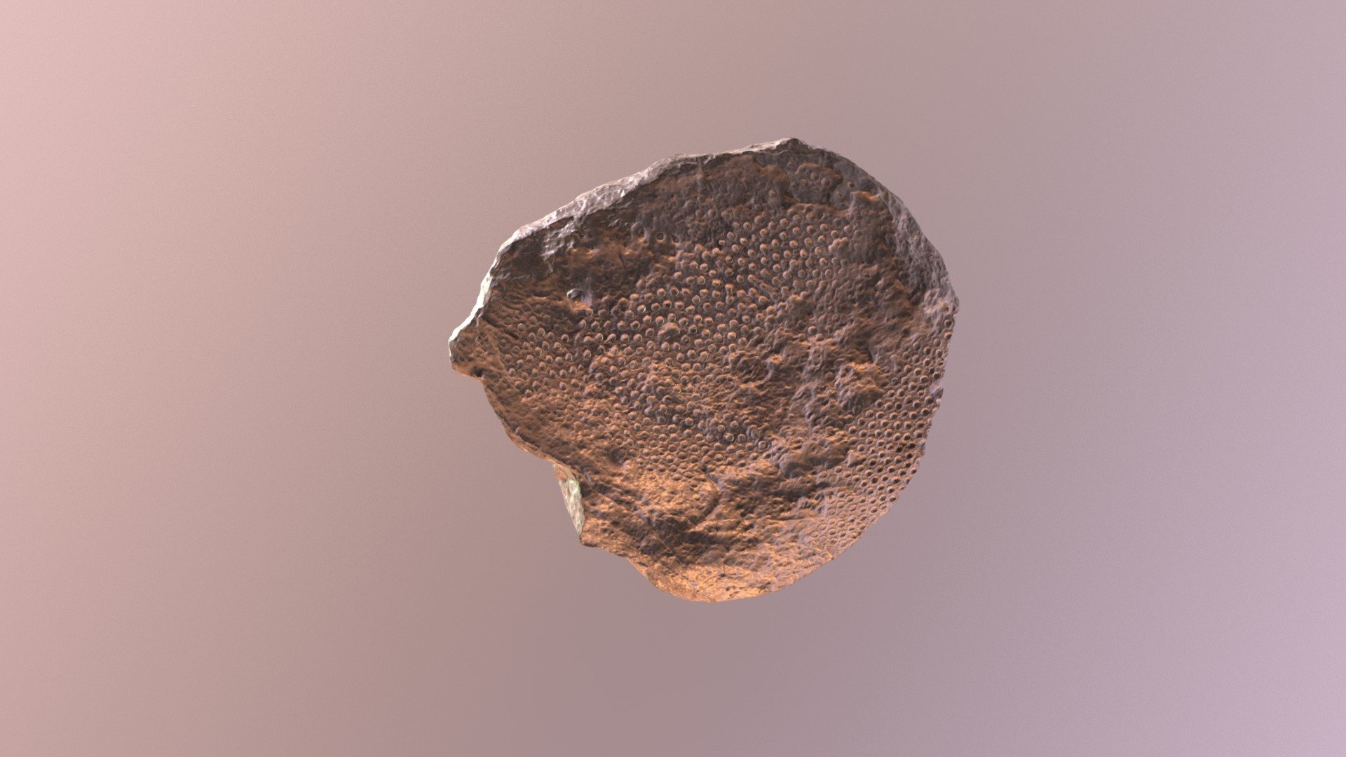 [1364] GSM 53725 Heliolites Coral - 3D model by 3d Fossils GB ...
