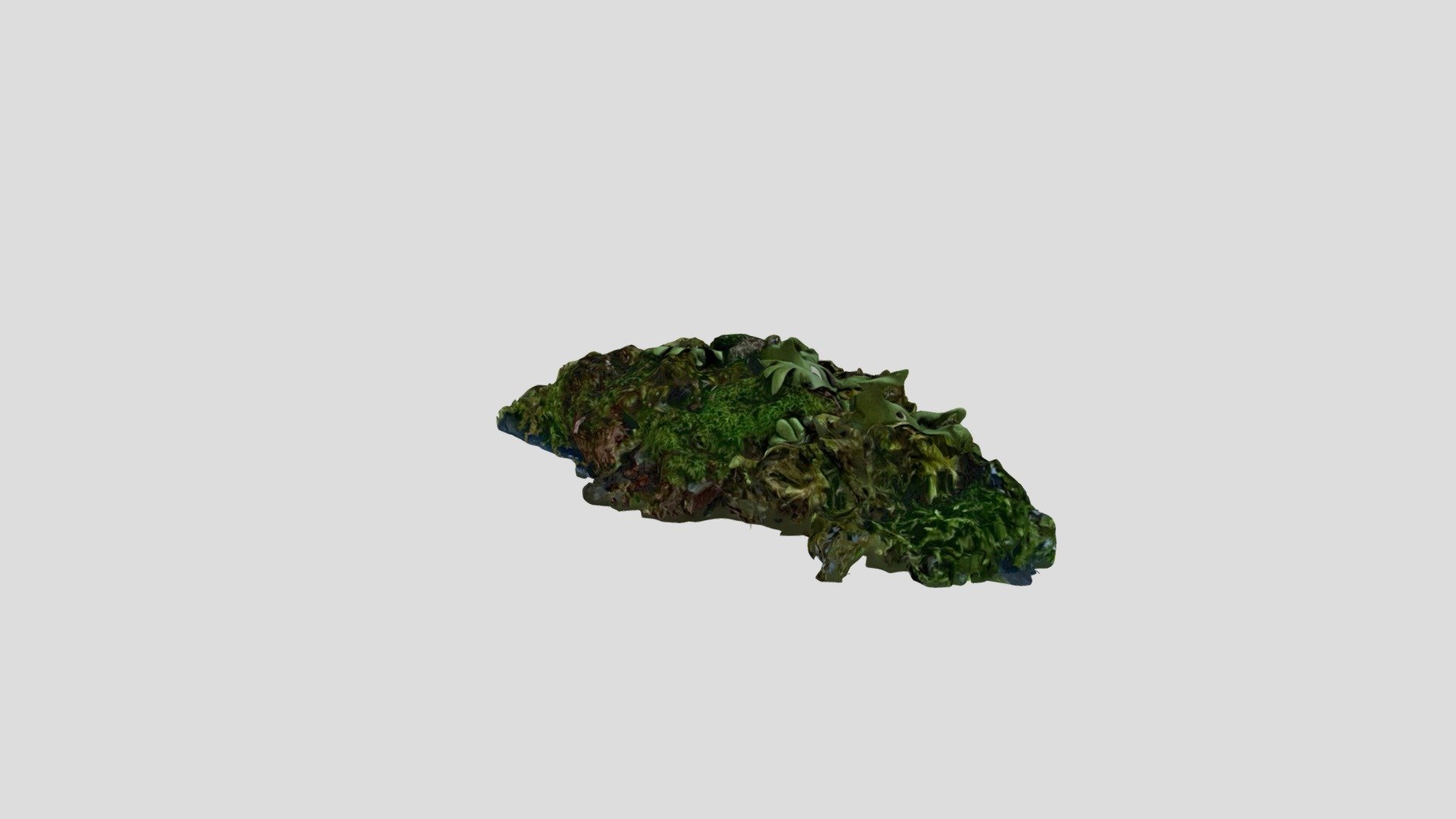 moos - Download Free 3D model by ruhebasis [a2946db] - Sketchfab