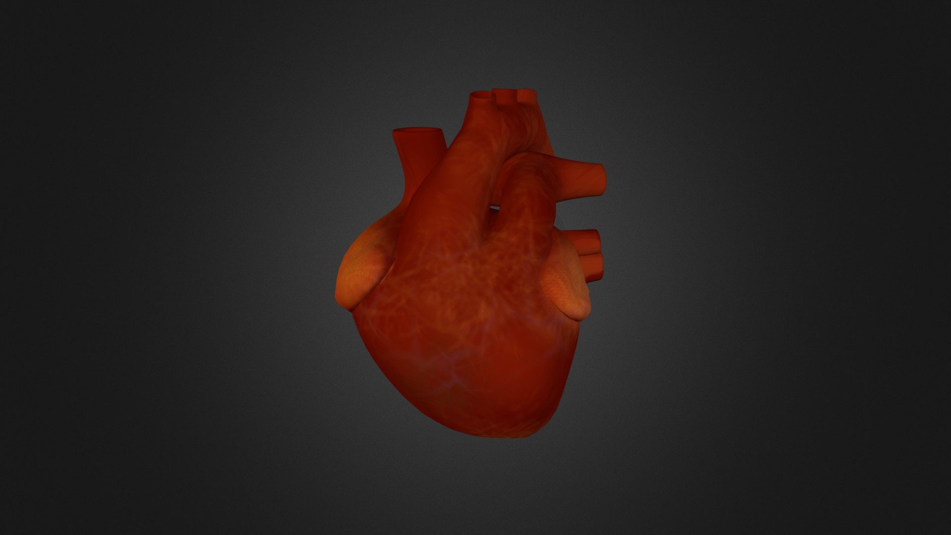 Human Heart - Download Free 3D model by adorezooey [a294c26] - Sketchfab