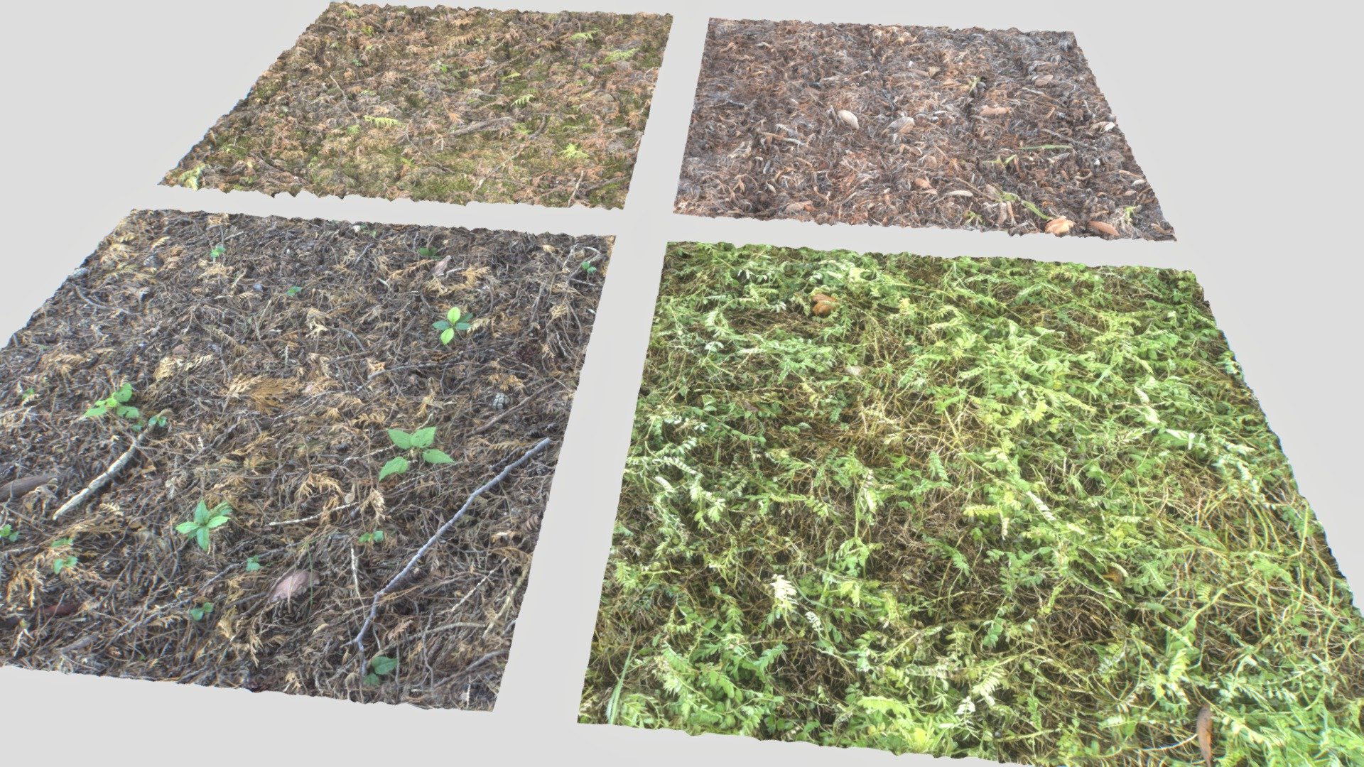 Forest Terrain PBR Pack 2 Texture - Buy Royalty Free 3D model by 32cm ...