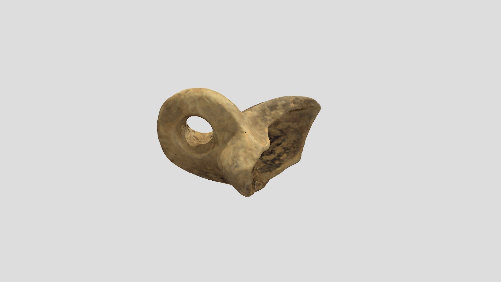 Anse d'une lampe à huile - 3D model by Maison de l'Archéologie du Pas ...