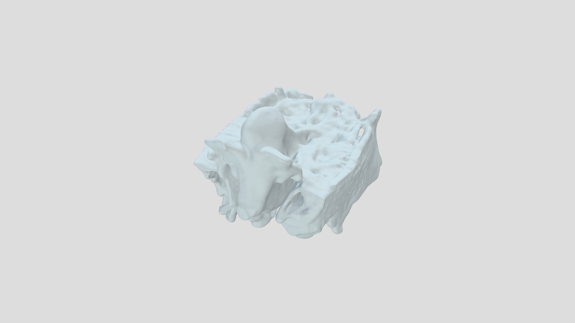 Ethmoid bone - 3D model by kucharm [a2a32e3] - Sketchfab