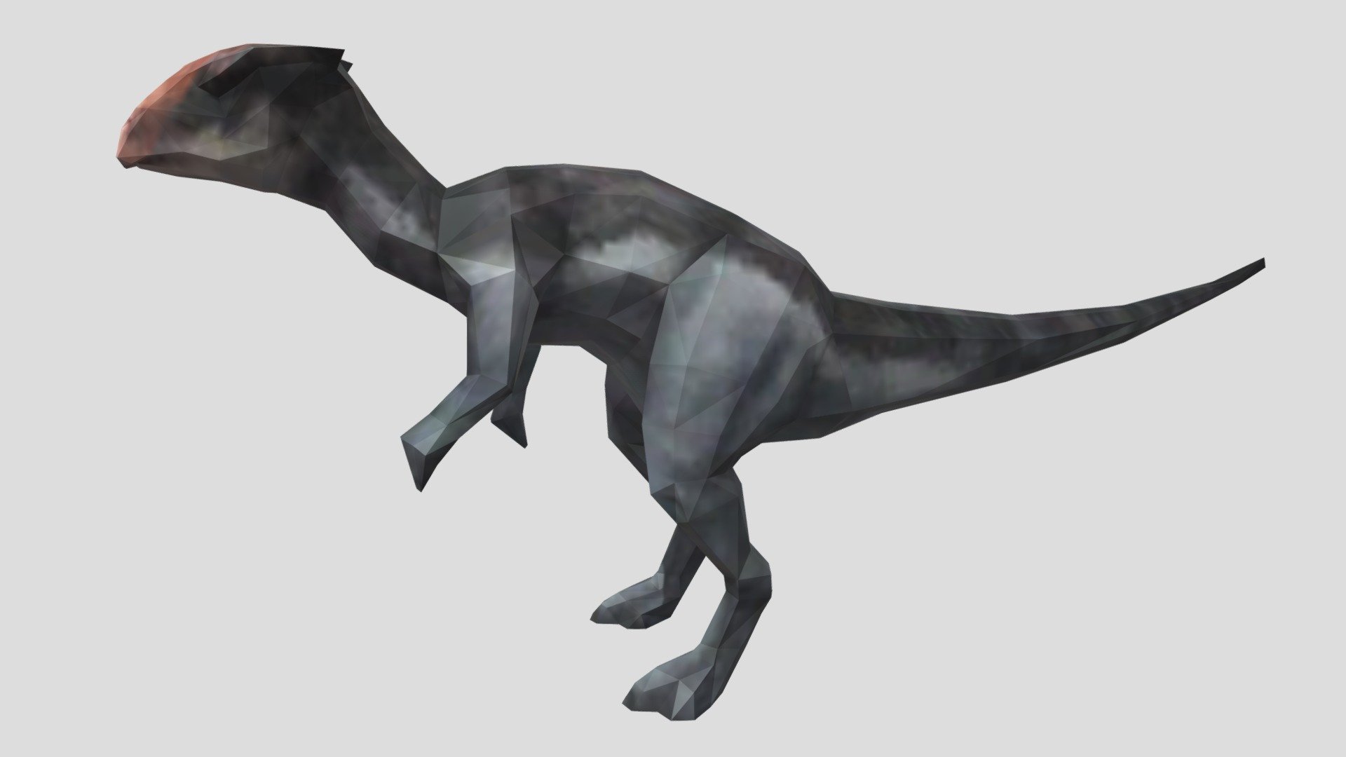 JPOG Posed Homalocephale - Download Free 3D model by seth the ...