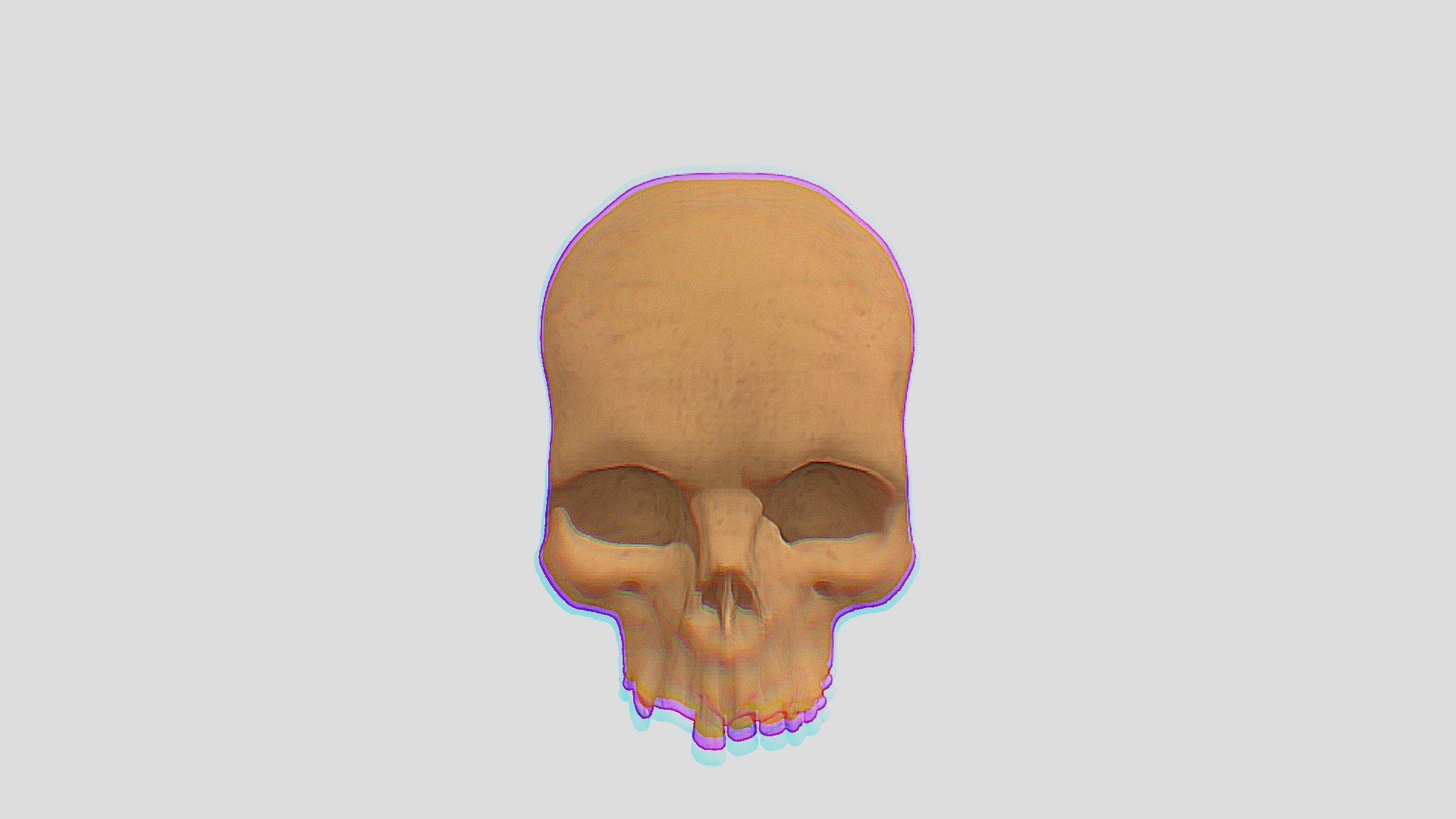 Skull - Download Free 3D model by Jorge Mortem (@jorge.mera.torres ...