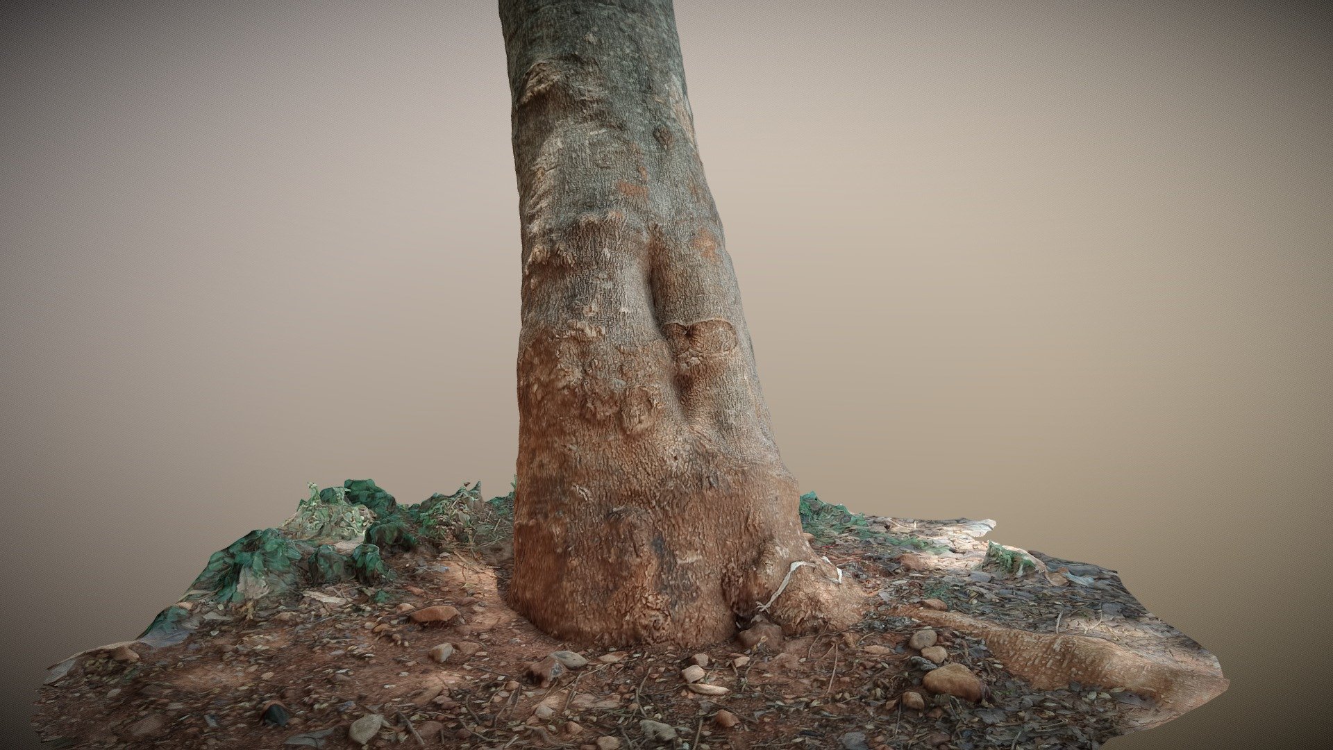 tree steam - Download Free 3D model by Ravirajraj [a2b878c] - Sketchfab