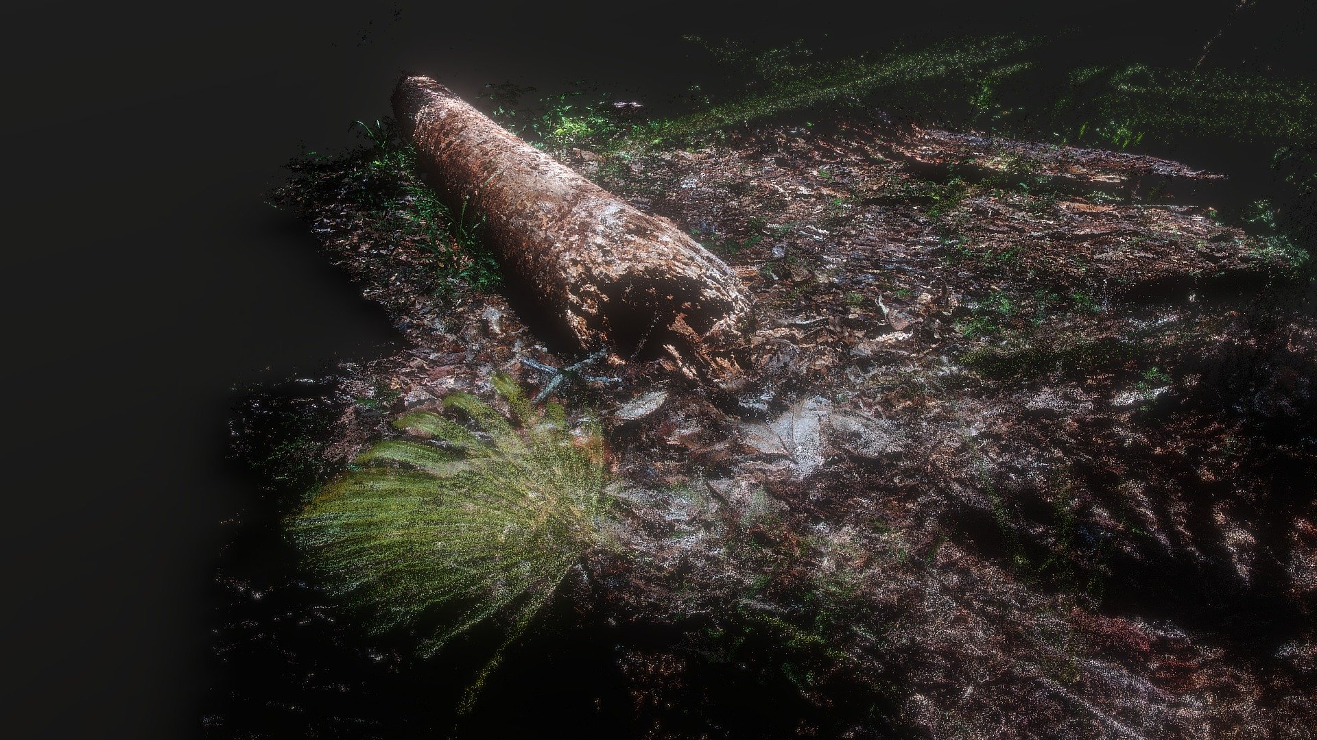 2020-09-18-tree-fell-true-place-10m-pts - Download Free 3D model by ...