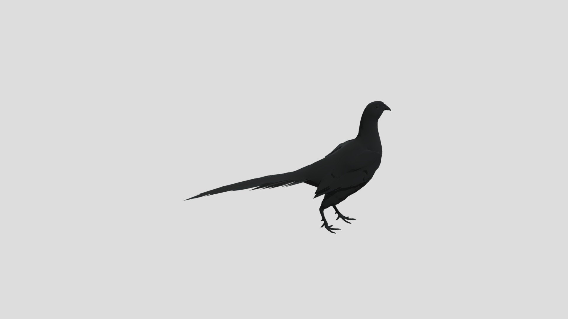 Realistic.Pheasant With Animation - Download Free 3D model by Khmer3D ...
