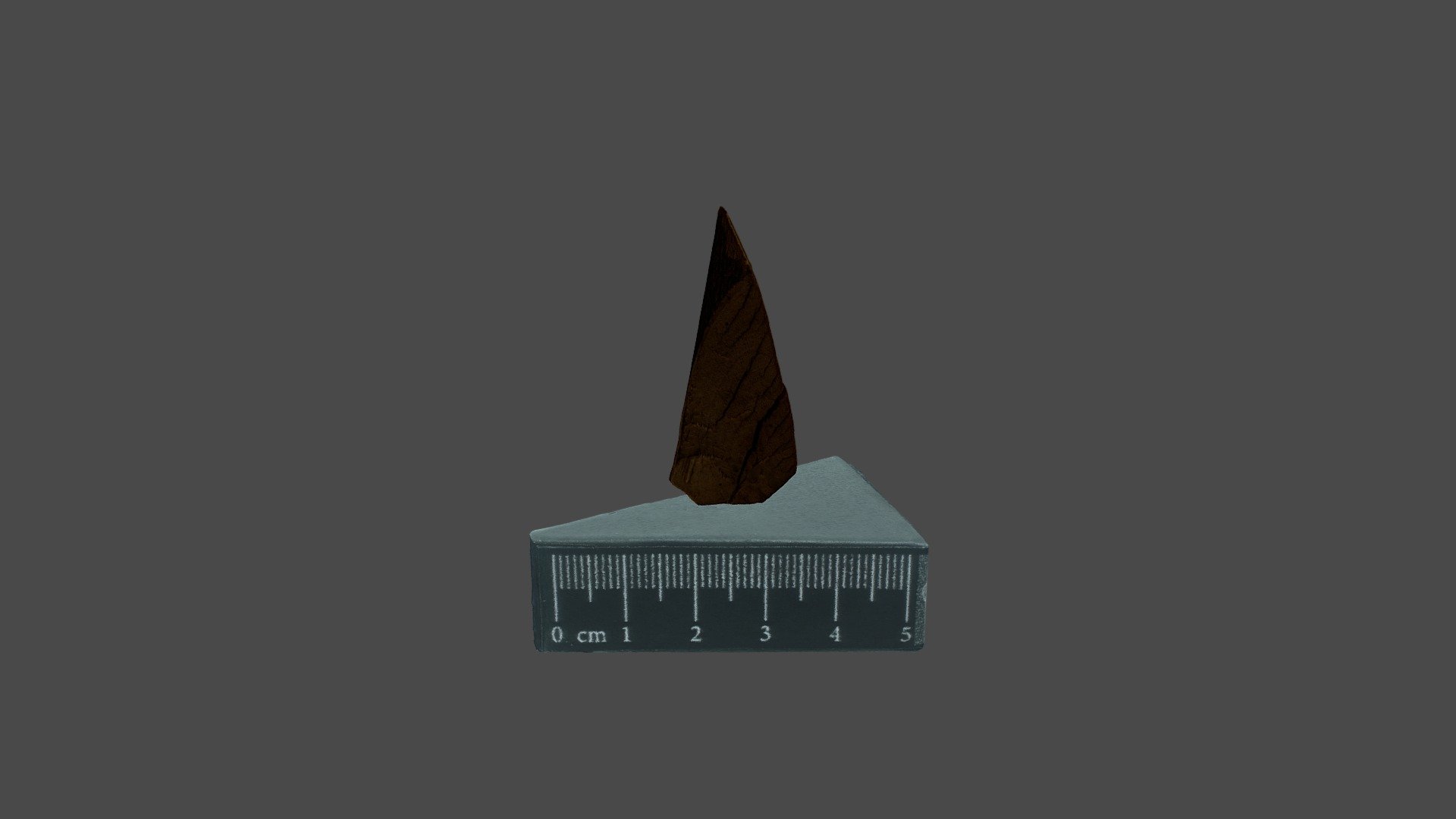 รากมะนาว scale bar - Download Free 3D model by 65201101047 ...