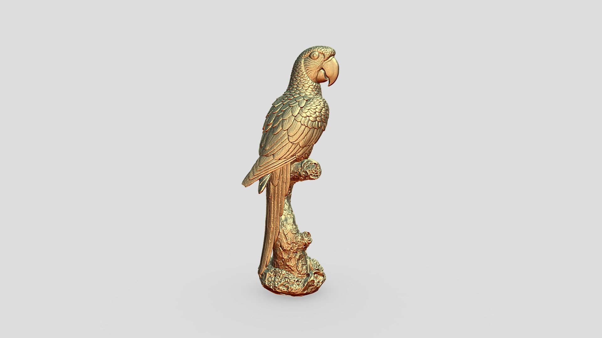 parrot - 3D model by Diana Liu (@Diana123456) [a2d286b] - Sketchfab