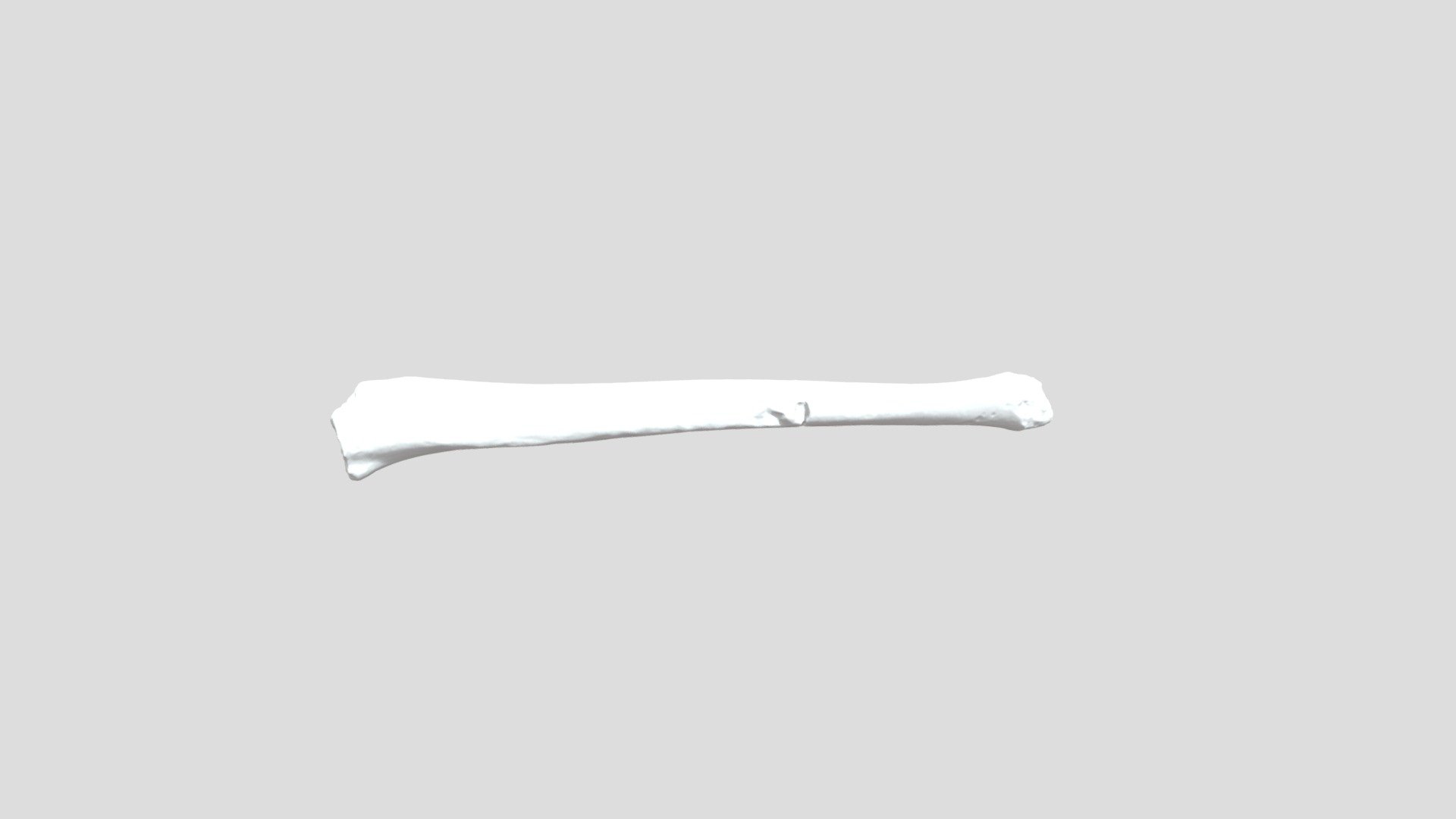 morphosource_media-2023-04-05-14_02_30 - 3D model by arroth [a2d6353 ...