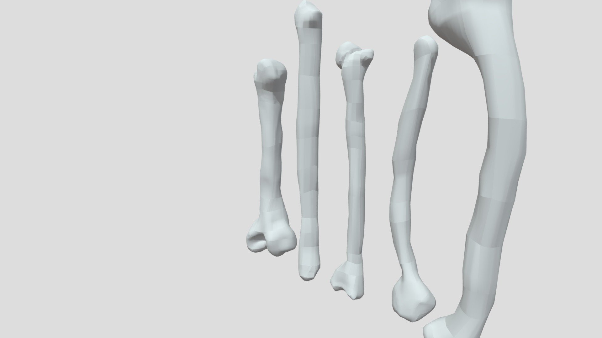 Bones(2) - Download Free 3D model by andrejseregin112008 [a2dacb1 ...
