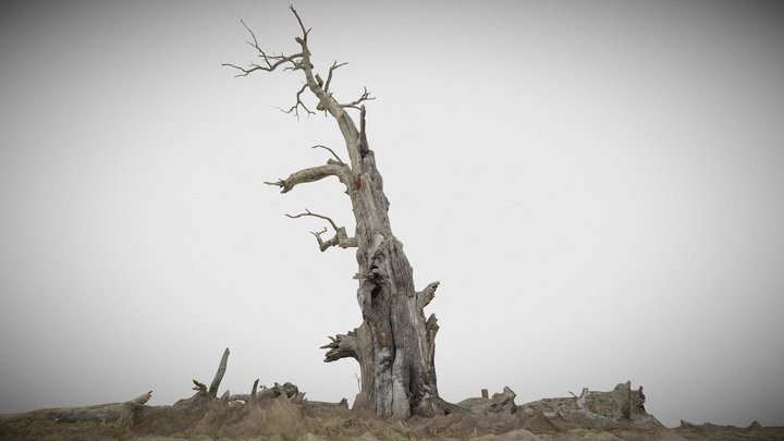 Lotr 3D models - Sketchfab