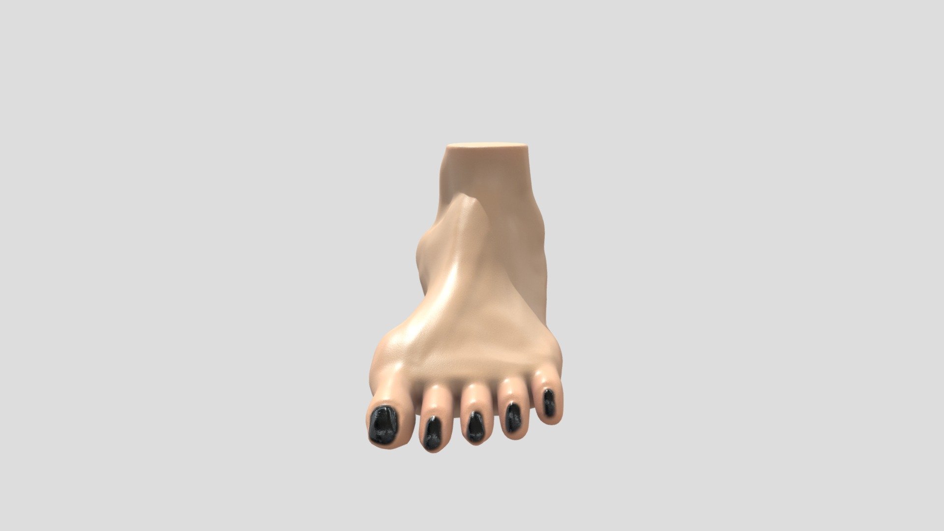 Foot model-first attempt - 3D model by HannahBlakeman [a2e343c] - Sketchfab