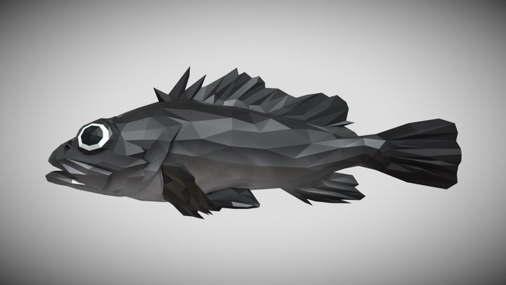 Sebastes 3D models - Sketchfab