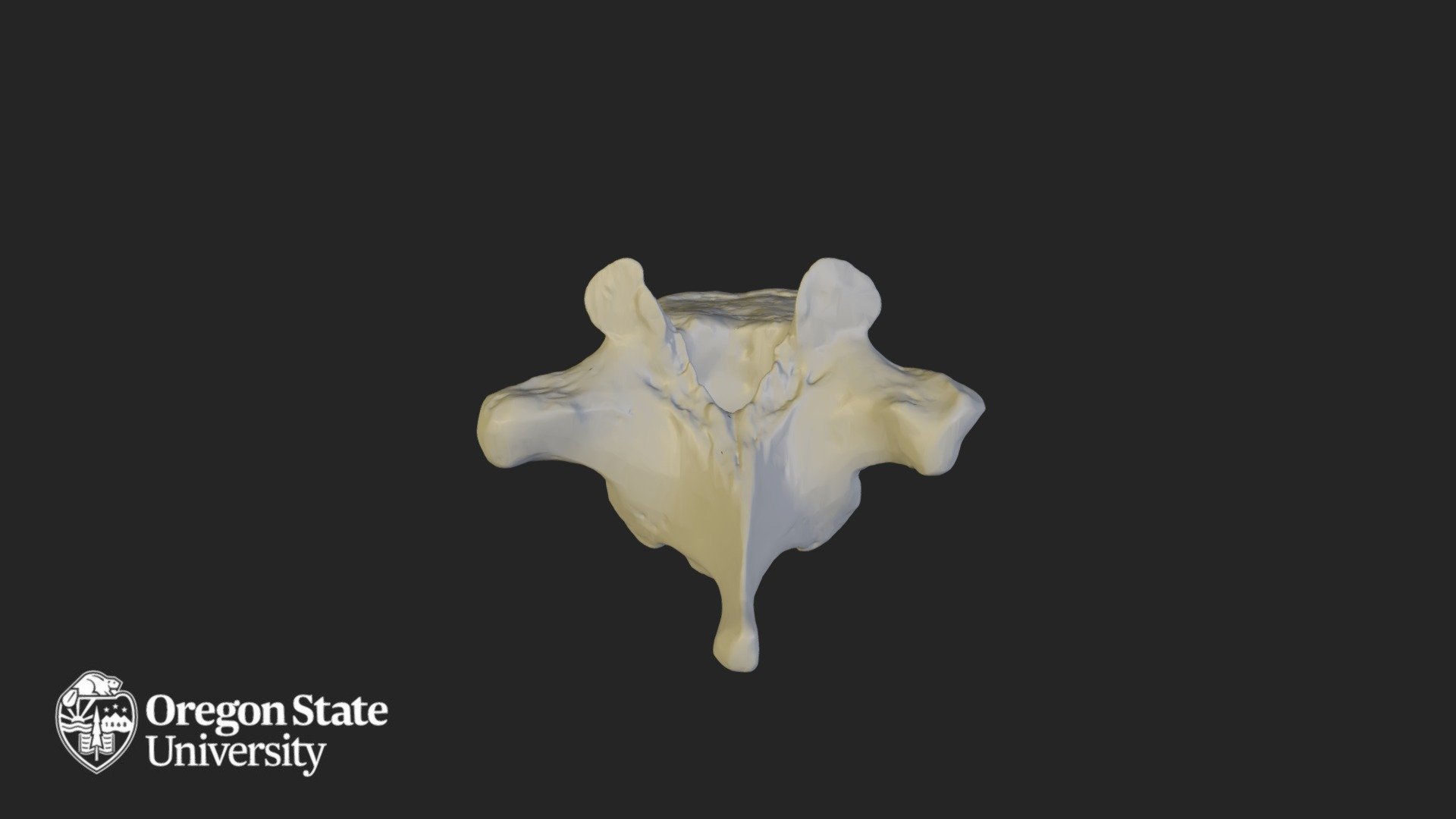 T10 - Download Free 3D model by Oregon State University | Ecampus ...