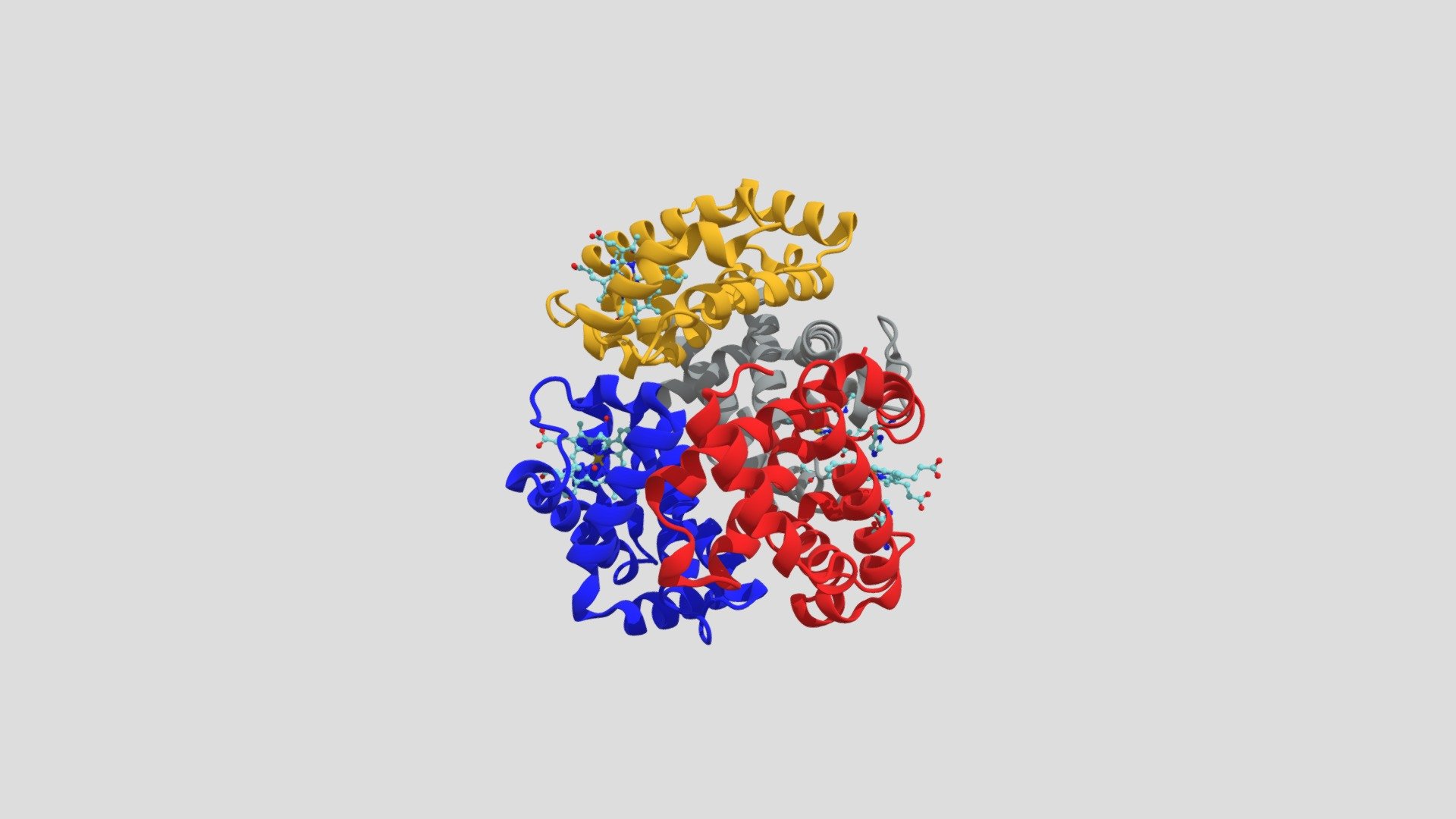 1) Hemoglobin - 1st model - Download Free 3D model by gvsuchem (@gvsu ...