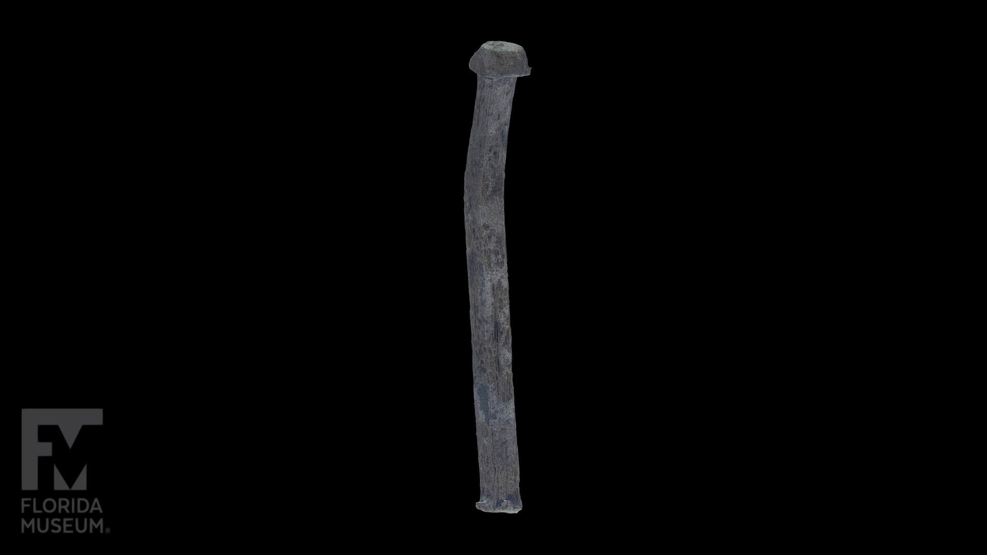 Wrought Iron Nail - 3D model by FloridaMuseum [a2f177c] - Sketchfab