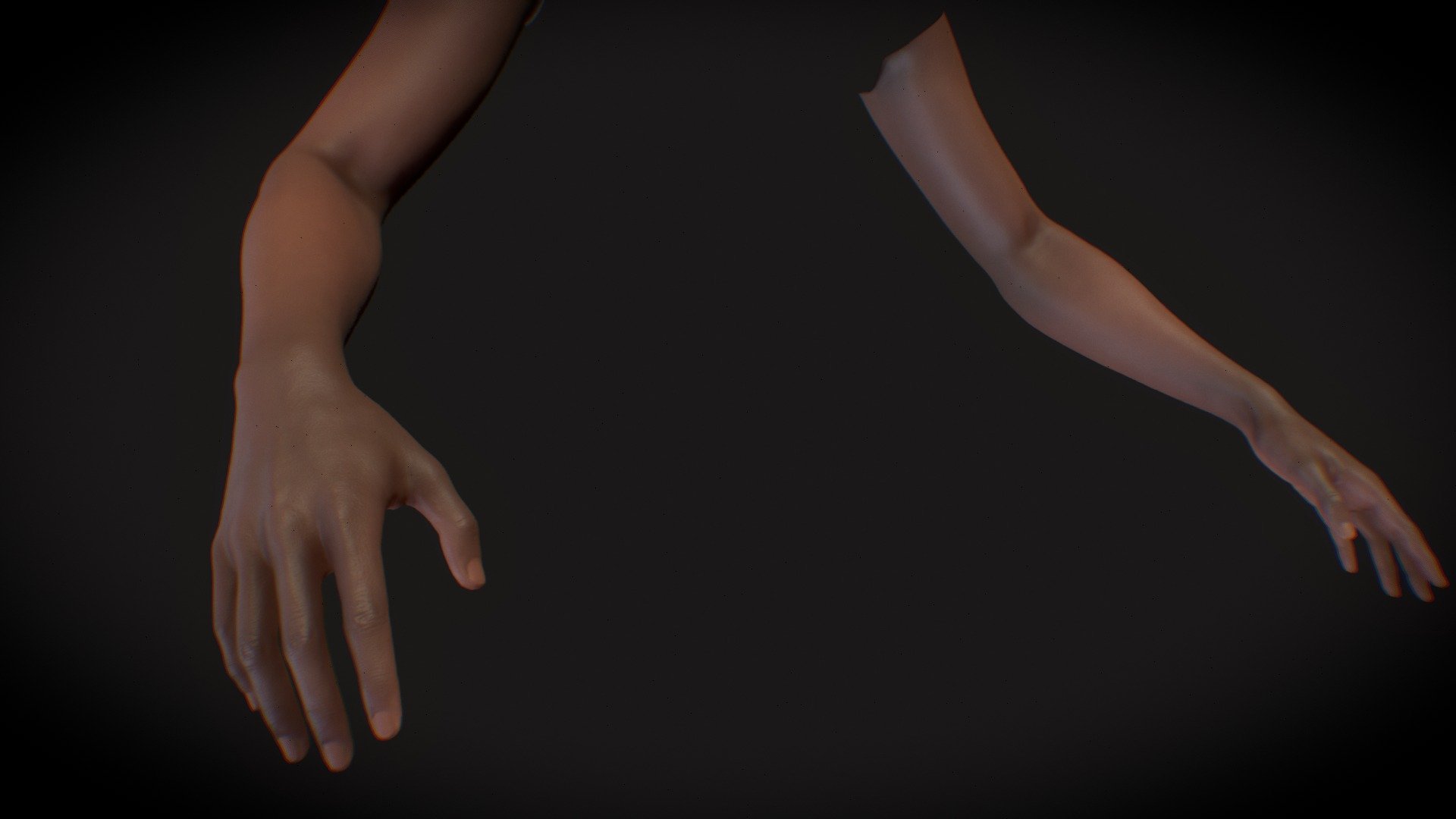 Female Hand Rigged - Human Anatomy - 3D model by Felipe Bueno ...