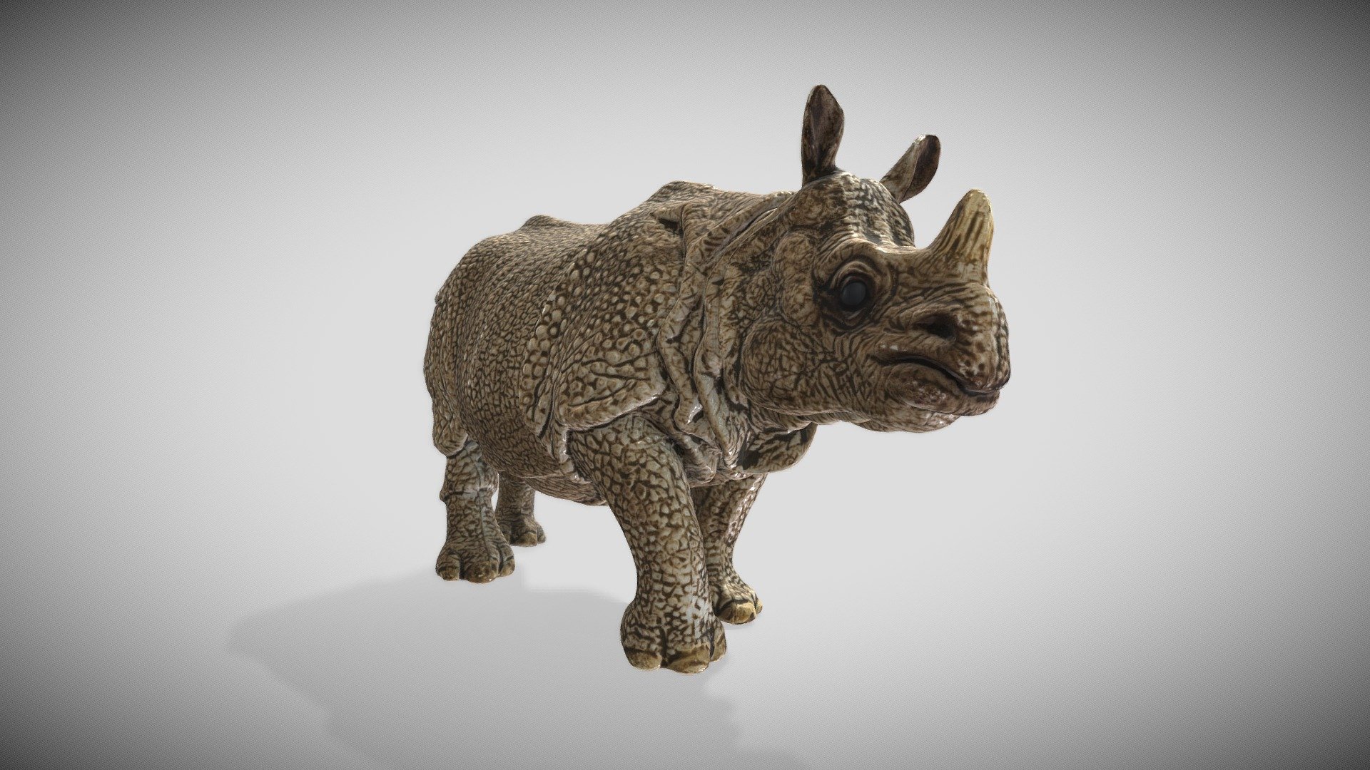 Toy Plastic Rhino - 3D model by propmaster [a2f9b14] - Sketchfab