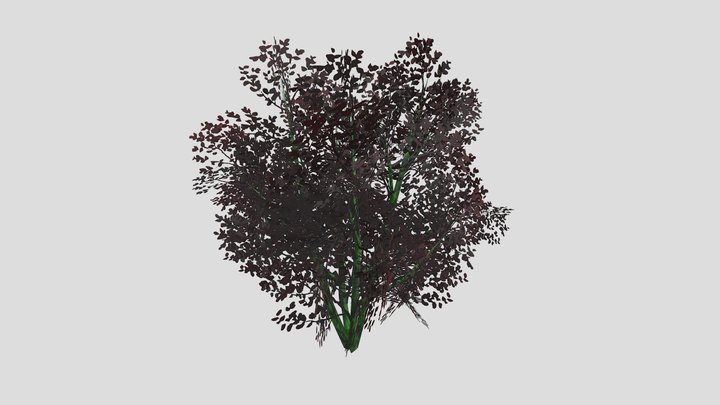 Bush 3D models - Sketchfab