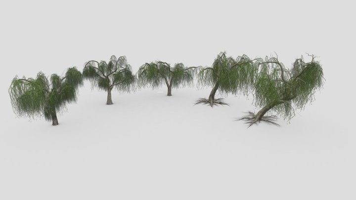 Lowpolyweepingwillow 3D models - Sketchfab