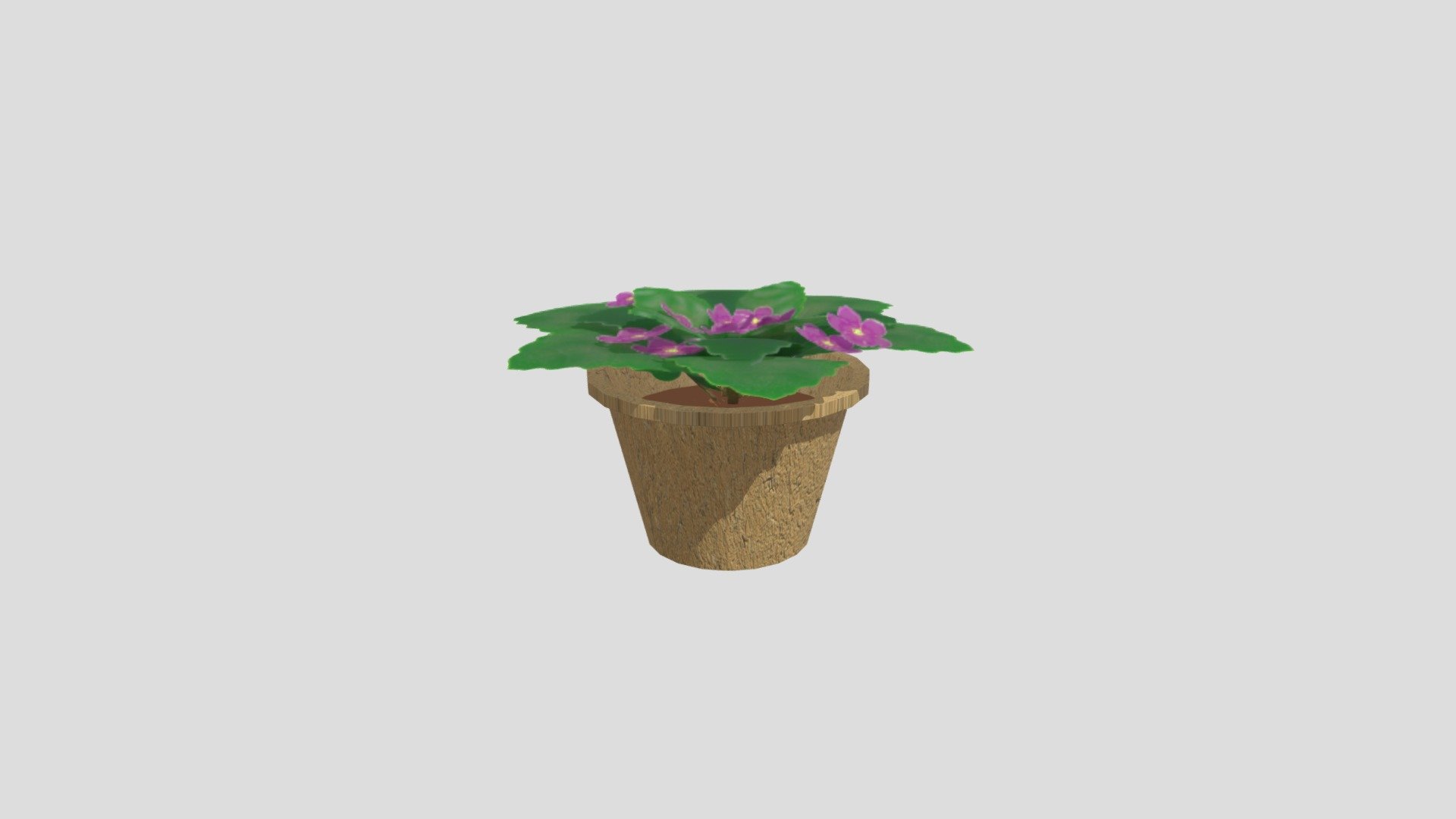 African Violet Flower - 3D model by WolfDomTVV2 [a30f4a8] - Sketchfab