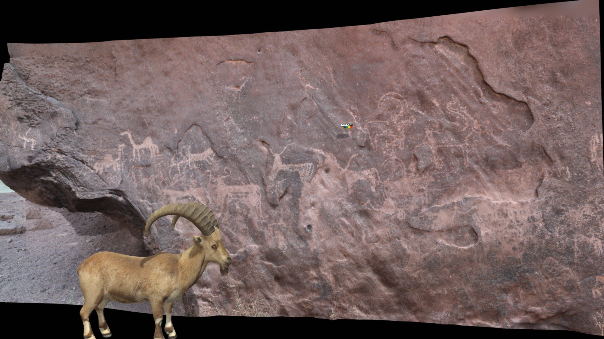 An Ibex from Wadi Hodein, Eastern Desert (Egypt) - 3D model by ...