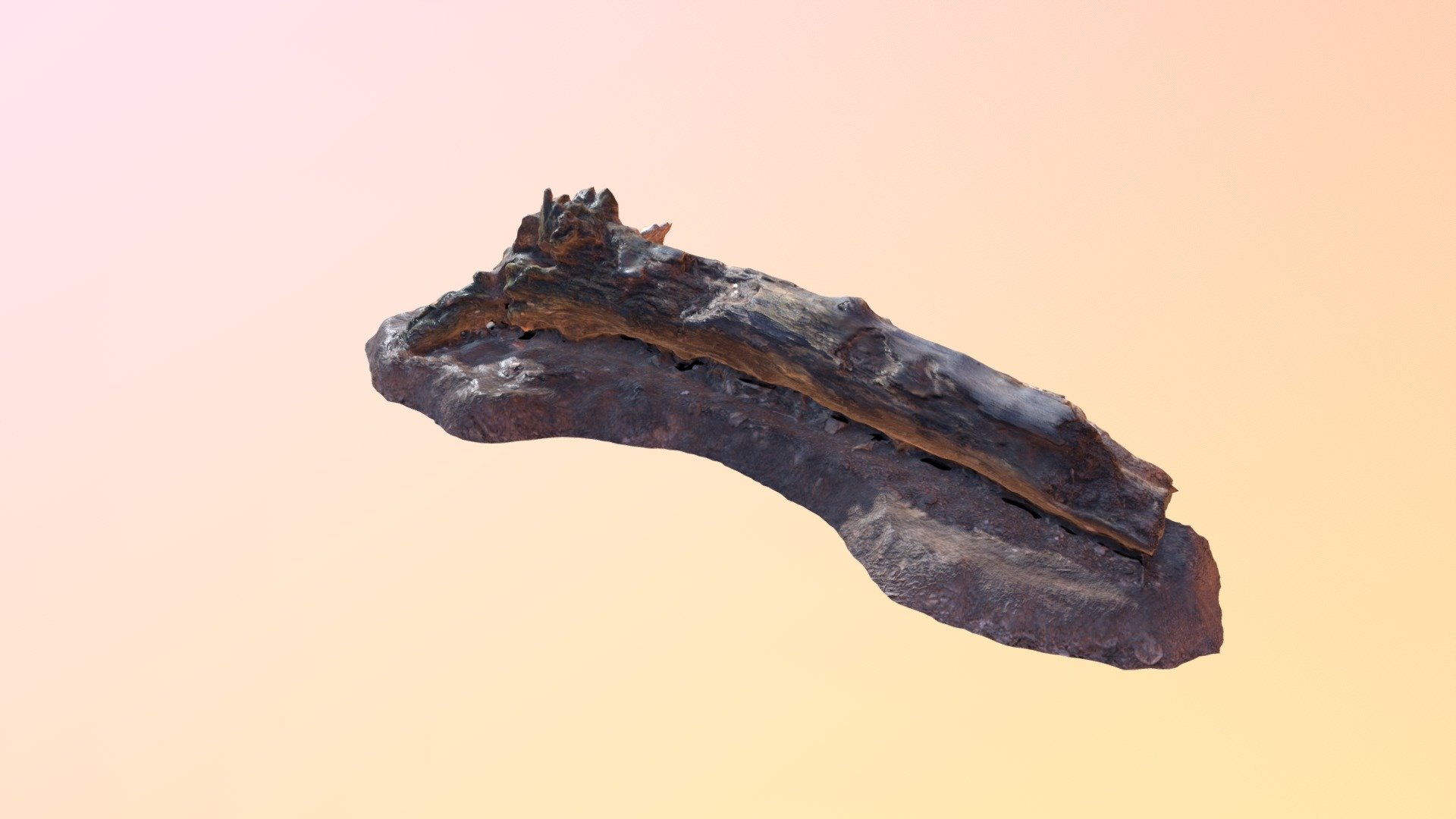 Low Poly Photogrammetry Fallen Tree 01 - 3D model by alexwoodward ...