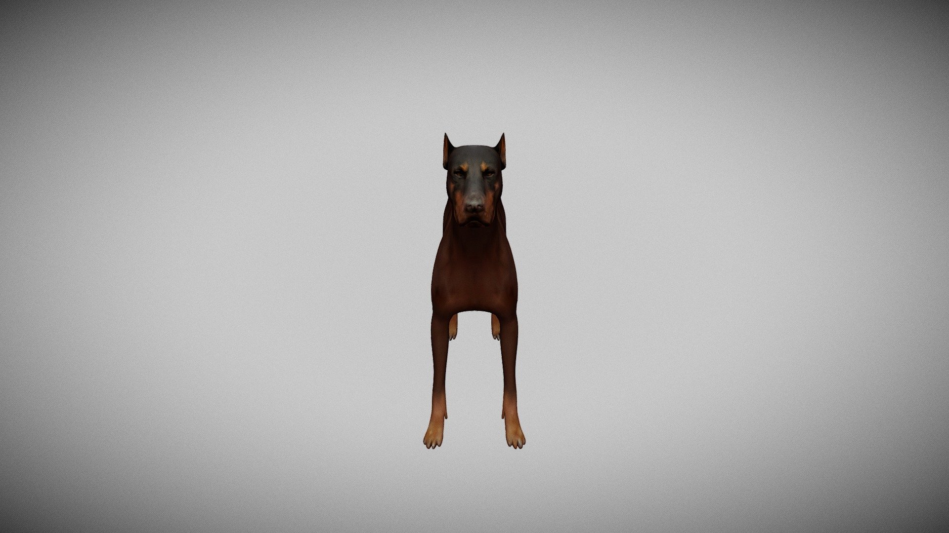 Dog - 3D model by rendorshen [a331649] - Sketchfab