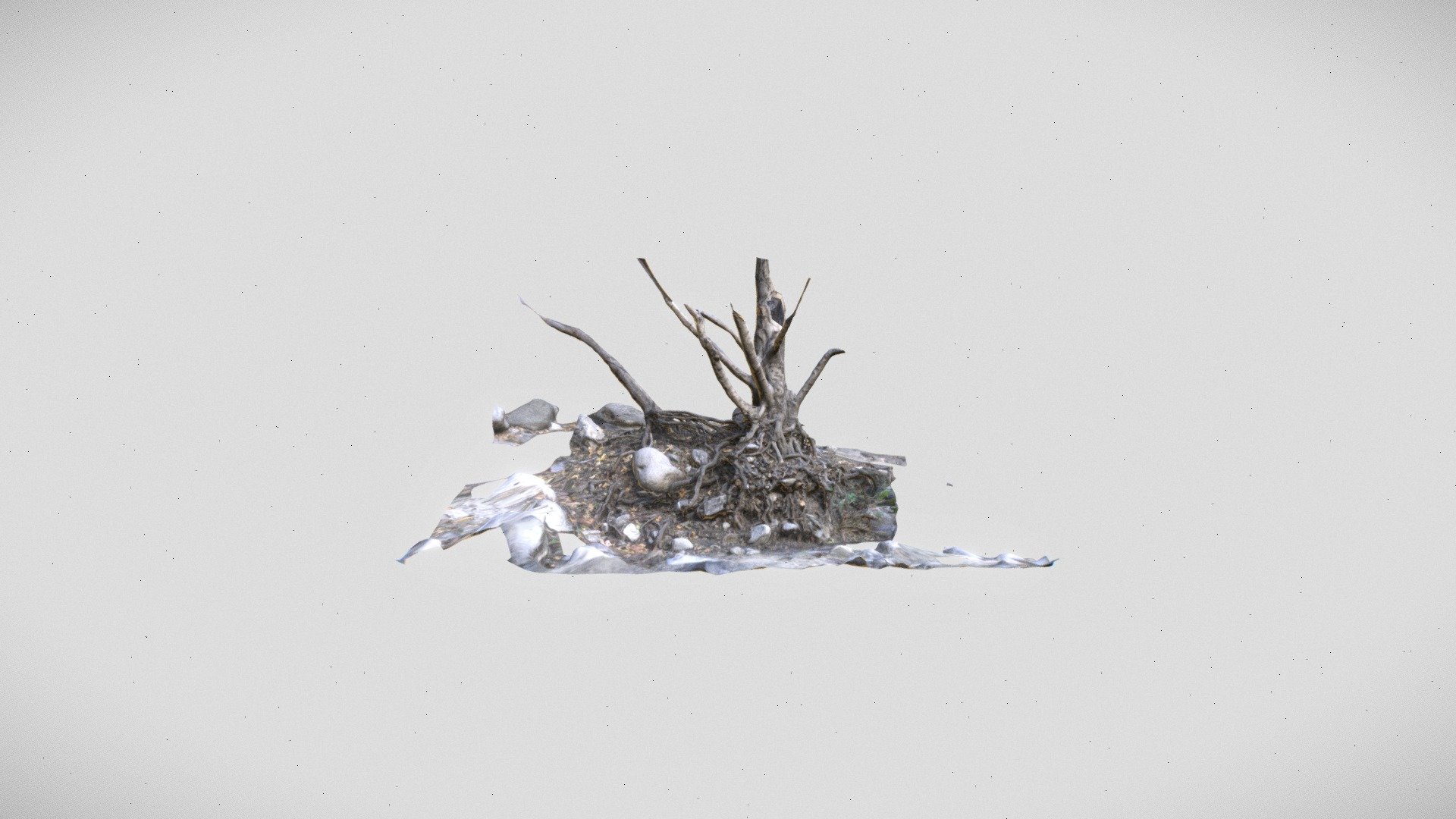 Roots Love - 3D model by adamcentko14 [a333631] - Sketchfab
