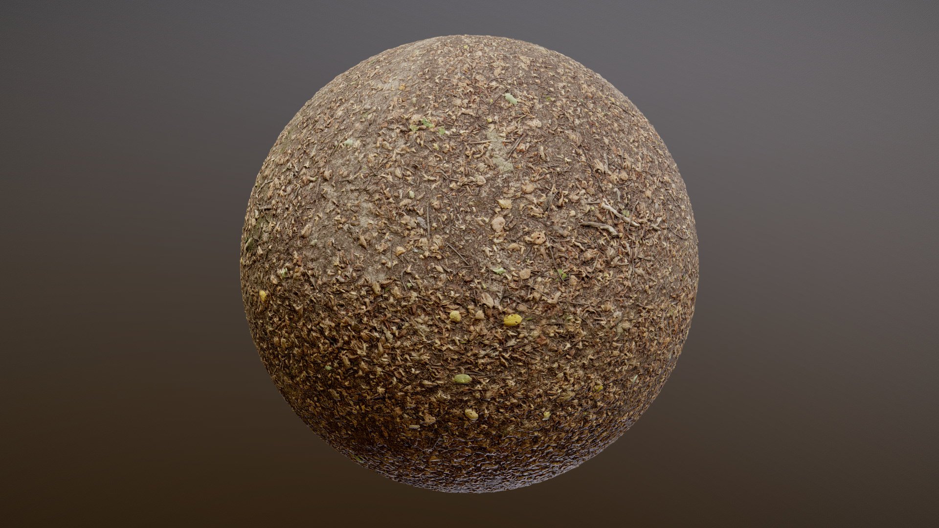 Forest Floor PBR Texture - Buy Royalty Free 3D model by romullus ...