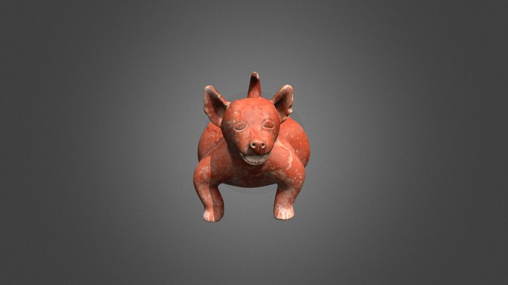 Xolo 3D models - Sketchfab