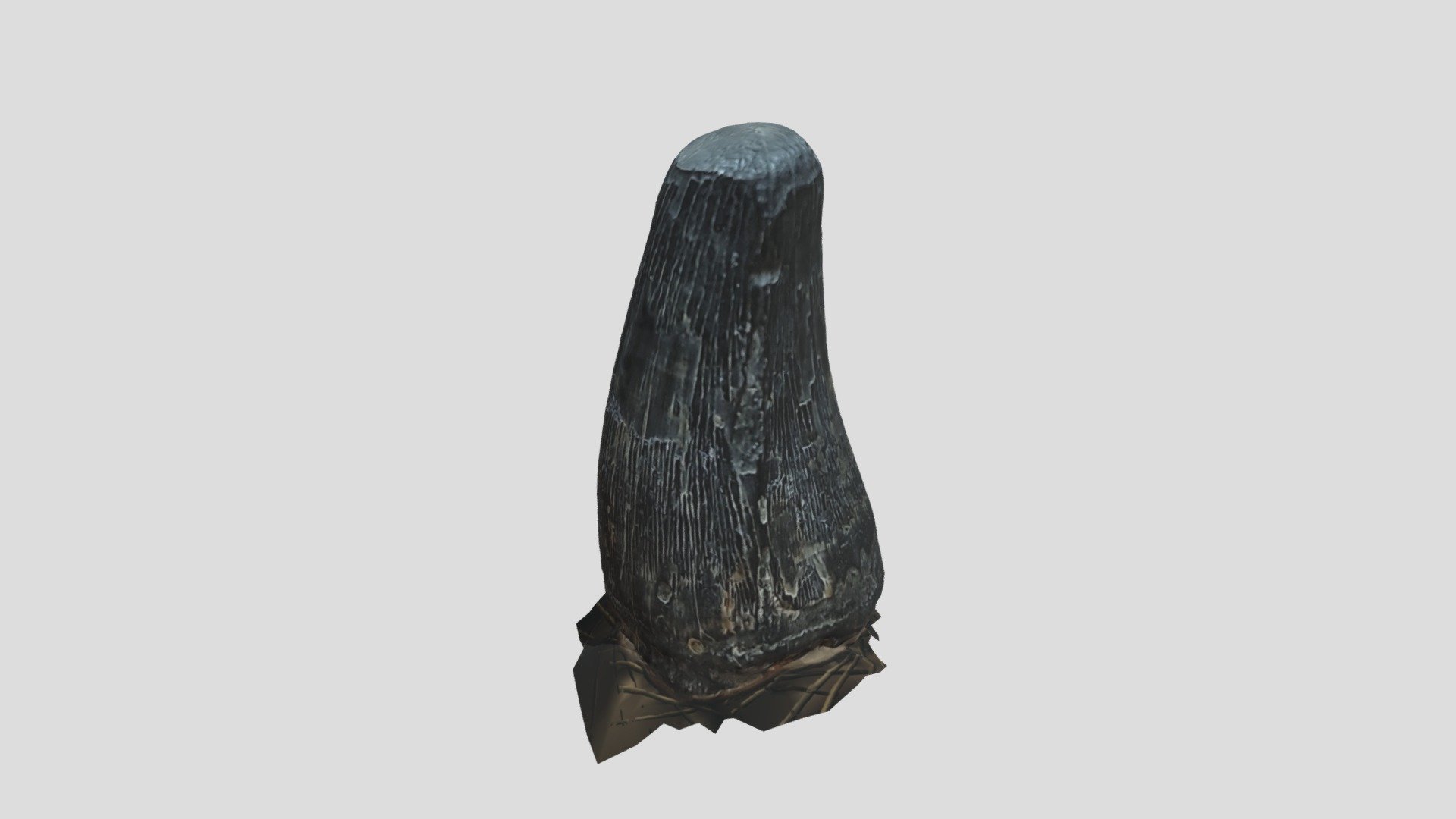 Tylosaurus sp. - 3D model by BrennanThePaleoDude [a34a88f] - Sketchfab